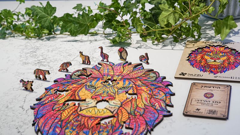 פאזלים מעץ של הארי פוטר – קסם והרפתקאות להרכבה - PAZZU